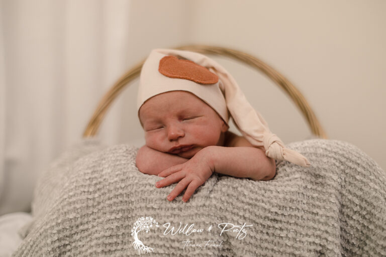 Portrait Photographers In Erie - Willow & Roots Studios