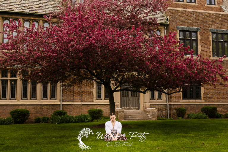 Portrait Photographers In Erie - Willow & Roots Studios